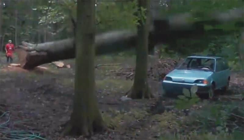 19 Times Cutting Down a Tree Went Wrong