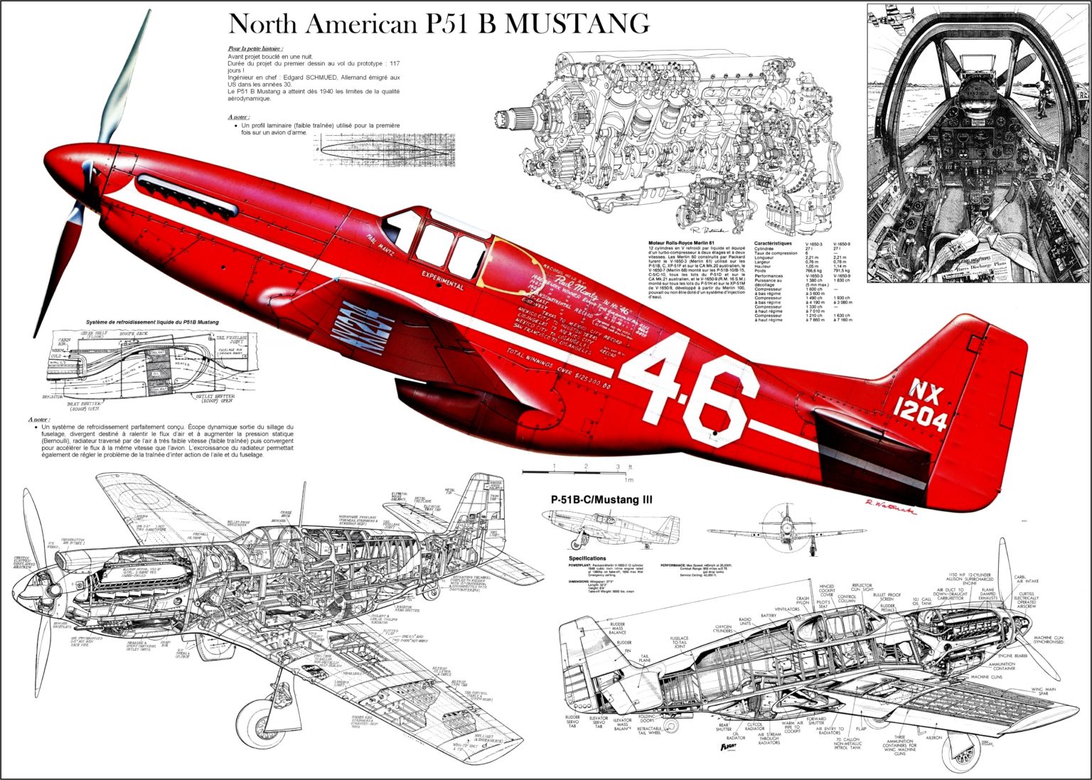 50 Incredible Facts About the P-51 Mustang - Mentertained